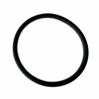 Astral ZX Cartridge Filter Tank Lid O Ring - Pristine Pool and Spa ...